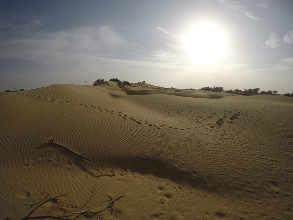 Khuri – Sleep in the desert – World Trip Berlin