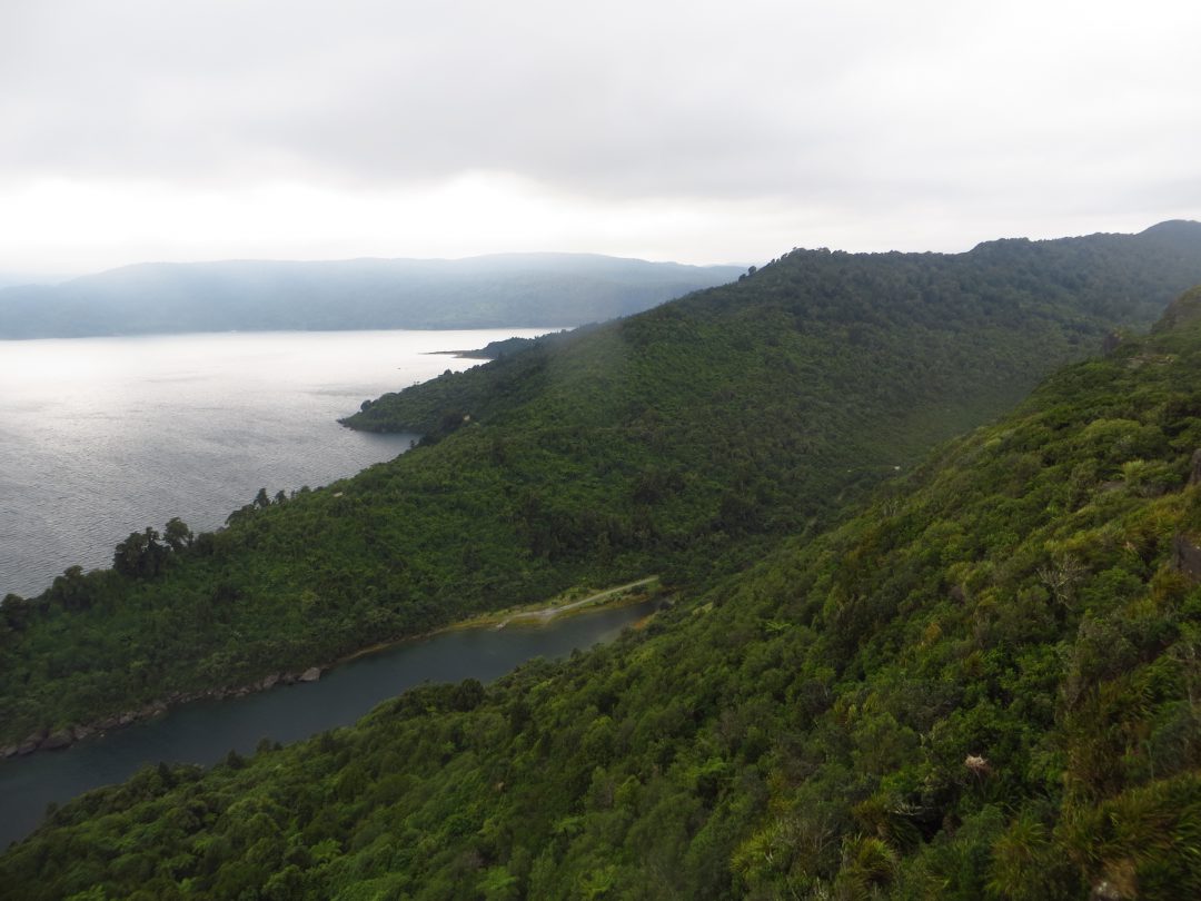 Te Urewera National Park – World Trip Berlin