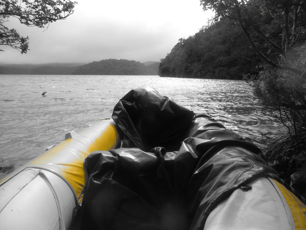 Te Urewera National Park – World Trip Berlin